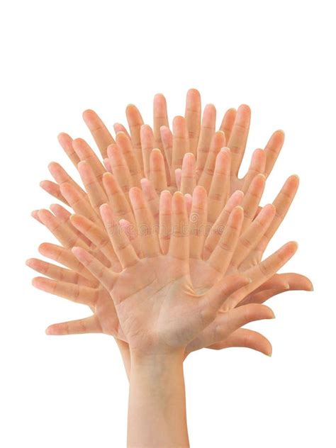 Tree Made Of Hands Stock Image Image Of Finger Hands 6977415