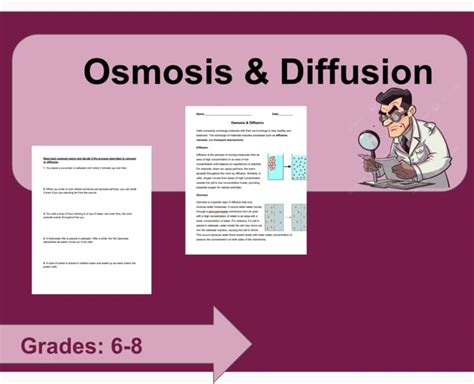 Emergency Middle School Science Sub Plans Osmosis And Diffusion Tpt
