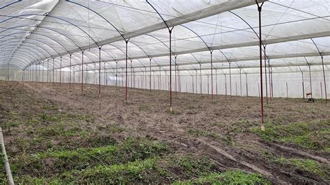 Premium Photo Greenhouse Self Sustaining Farm Hydroponic Crops