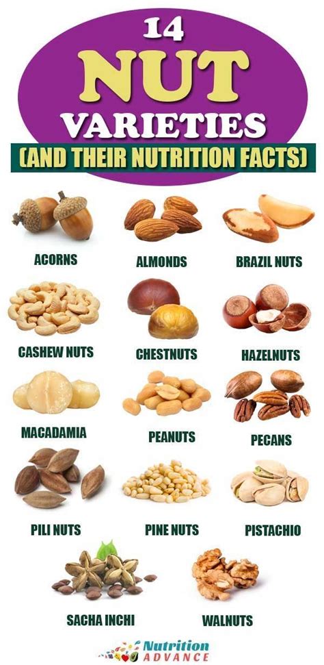 Types Of Nutrient Rich Nuts For Overall Health