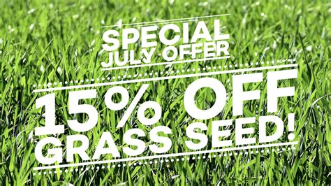 Grass Seed The Eco Friendly Choice For A Green Lawn Wiggly Wigglers