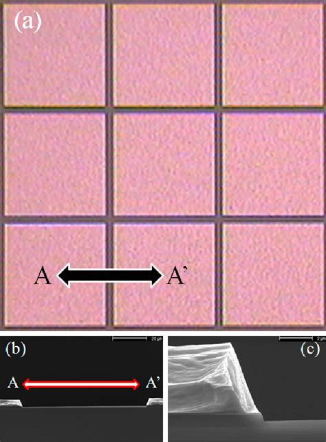 Figure 2 From A Tapered Aluminium Microelectrode Array For Improvement