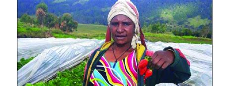 Enga Strawberries Reach Singapore Market Post Courier