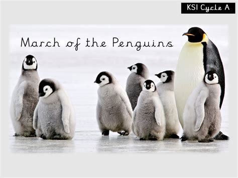 Biddick Primary School Curriculum