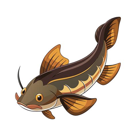 Charming Design Of Flathead Catfish 58586339 Vector Art At Vecteezy