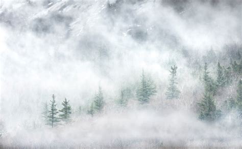 Portfolio Shaun Terhune Photography