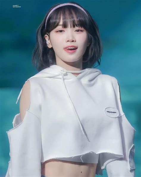 우정잉 닮은 김채원 주식 에펨코리아