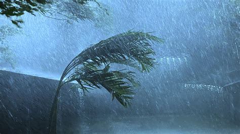 Goodbye Stress To Sleep Soundly With Mighty Tropical Storm Heavy Rain