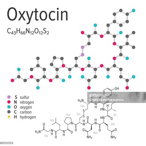 Chemical Formula Of The Vector Oxytocin Molecule High Res Vector