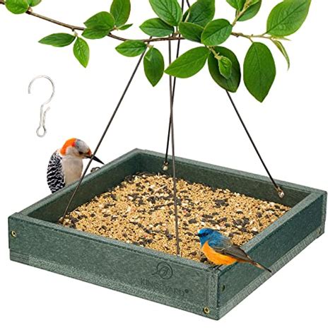 Best Platform Bird Feeder Top Picks For Attracting Wild Birds