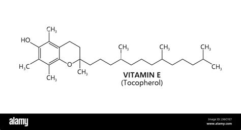 Vitamin E Formula Line Chemical Structure Of Tocopherol Molecular