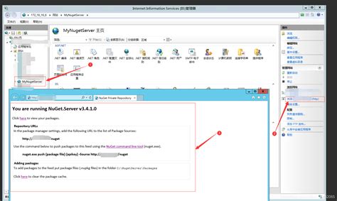 在windows服务器上搭建nuget私人服务器超~详细nugetserver Csdn博客
