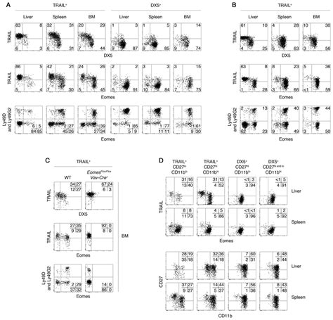 Eomes − Nk Cells Can Give Rise To Eomes Nk Cells A Highly Purified Download Scientific