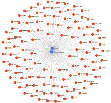 Network Gene Analysis Of The Differentially Expressed Mirna The