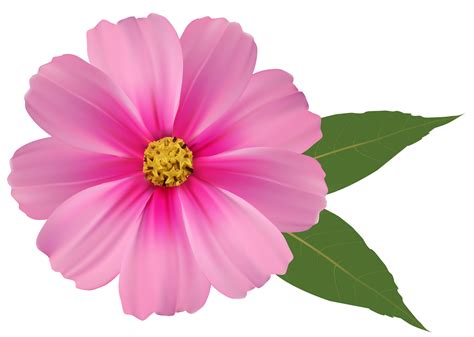 Pink Plant Clipart 20 Free Cliparts Download Images On Clipground 2025