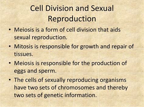 Ppt Cell Division Powerpoint Presentation Free Download Id779855