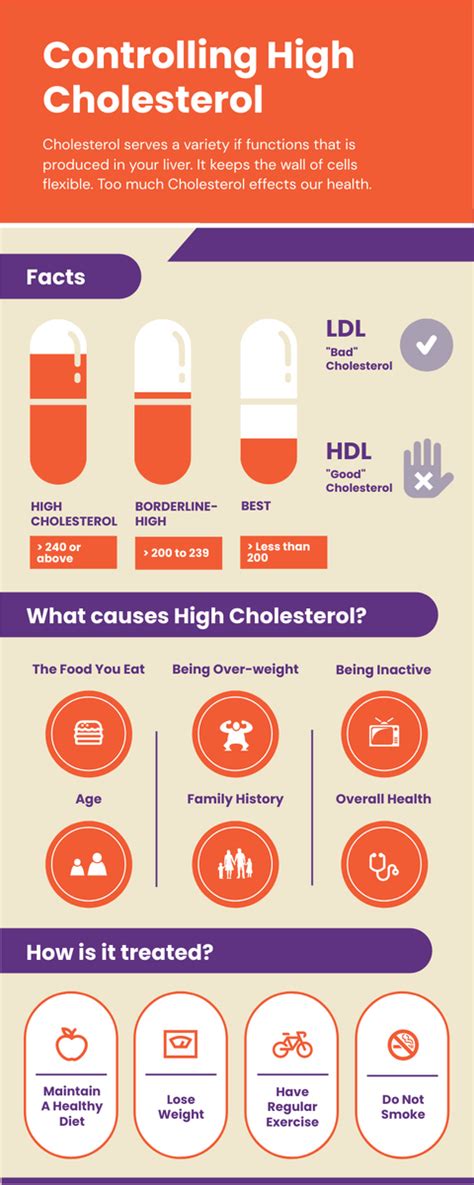 Controlling High Cholesterol Infographic Infographic Template