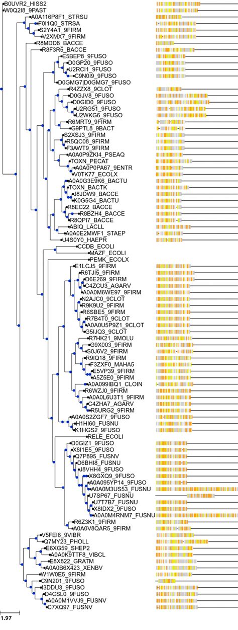 Phylogenetic Tree Based On Representative Toxins Of Putative Type Iii