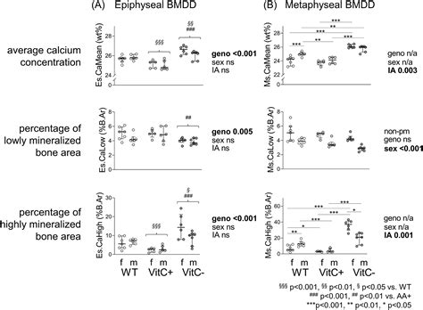 Vitamin C Deficiency Deteriorates Bone Microarchitecture And Mineralization In A Sex Specific Vitamin C Deficiency Deteriorates Bone Microarchitecture And Mineralization In A Sex Specific