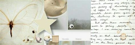 Beige Header Twitter Header Aesthetic Twitter Header Pictures