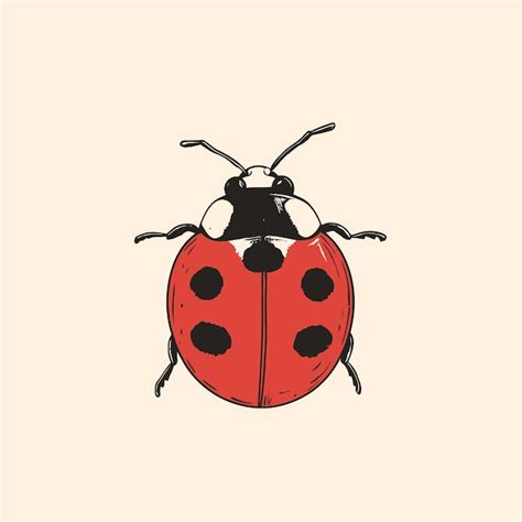 Ladybug Vector Cute Premium Ai Generated Vector