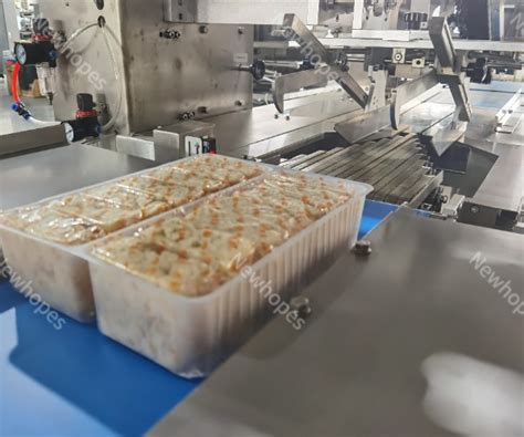 Flow Pack Machine Packaging Machinery Manufacturer Newhopes
