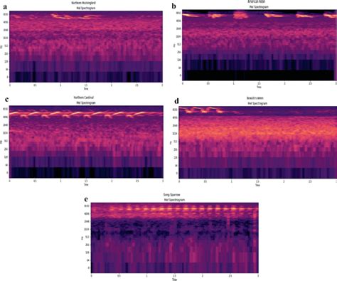Deep Learning Based Bird Species Identification From Audio Recordings