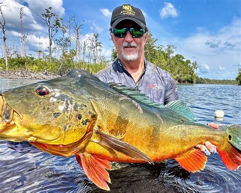 The 15 Best Amazon River Fishing Charters And Tours With Prices
