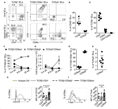Oral Iels Were Isolated From 2 To 4 Mice And Pooled In Each