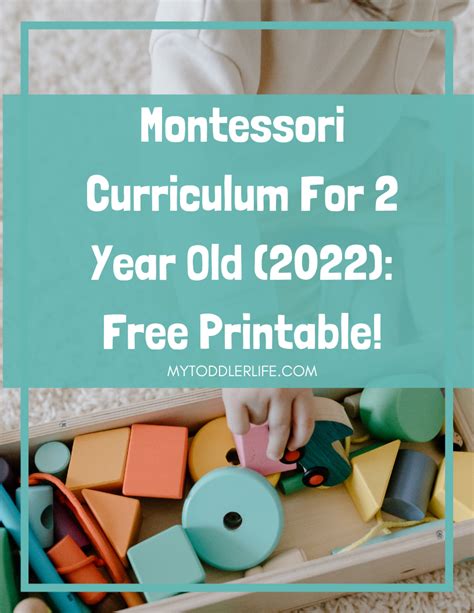 Montessori Curriculum For 2 Year Old 2023 Free Printable Artofit