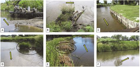 Six Different Types Of Stabilization Structures Were Assessed During