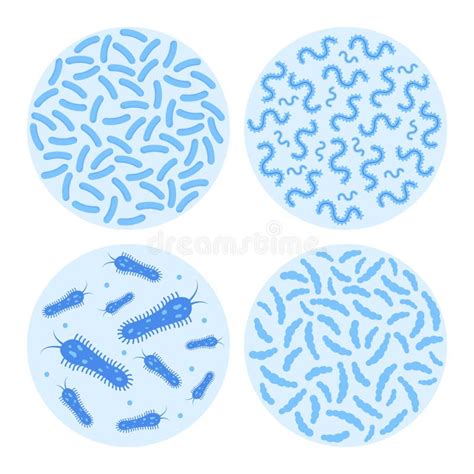 Bacterial Flora In Circle Set Different Bacteria Pathogenic