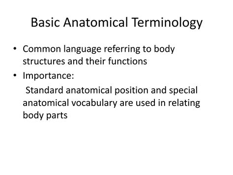 Solution Anatomical Term Body Plan Studypool