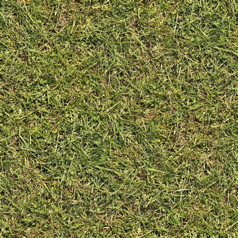 High Resolution Grass Texture Free Images On All3dfree