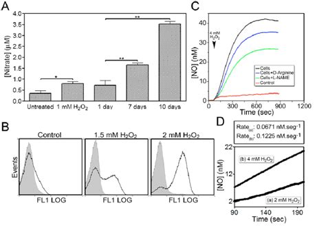 Yeast Cells Synthesize No Upon Apoptosis Induction Which Is Dependent