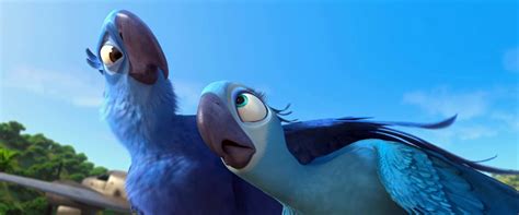 Image Blu Jewel  Rio Wiki Fandom Powered By Wikia
