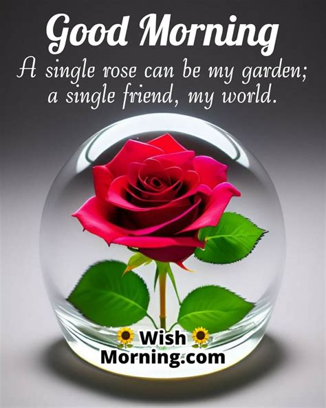 Top 999 Friend Good Morning Images Hd Amazing Collection Friend Good