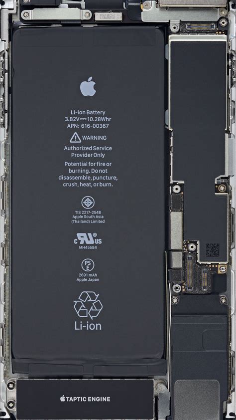 29+ Iphone 8 обои на телефон от denis.lapin