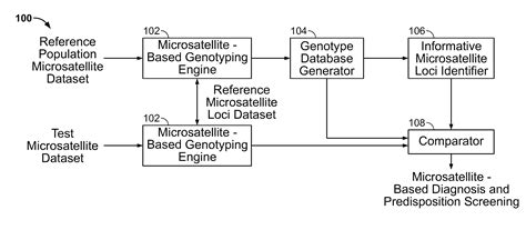 Methods And Compositions For Identifying Global Microsatellite