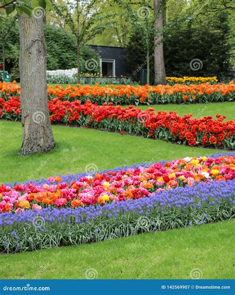 Beautiful Zigzag Grassed Garden With Many Colored Flowers Stock Image