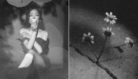 Ariana Grande Explains Petal Is A Different Kind Of Breakup Album
