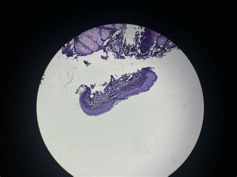 Would Anyone Be Able To Help Troubleshoot My Processing Issue R