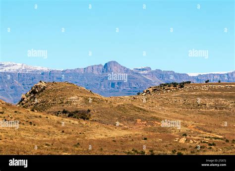 Dry Winter Orange Colored Grass Against Rocky Snow Capped Mountain And