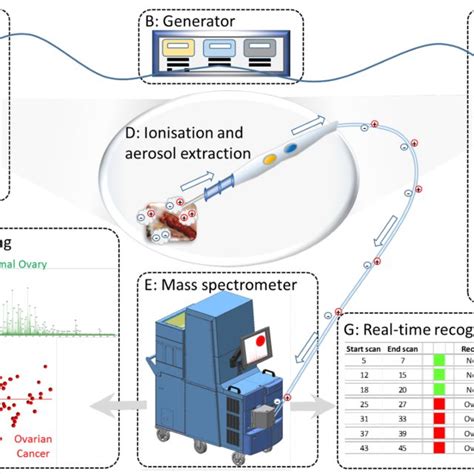 2 Diagrammatic Representation Of The Pyrosequencing Method Elongation