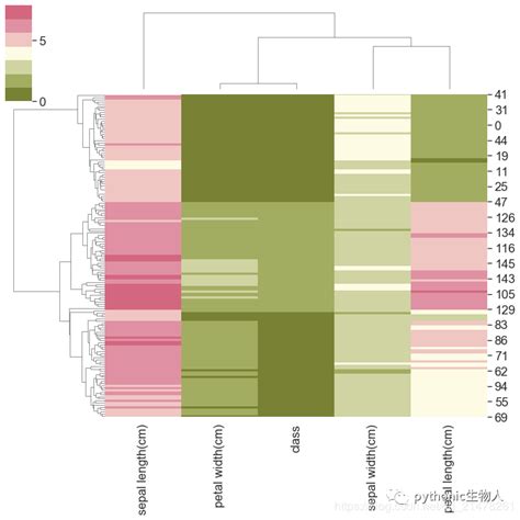 Python Dendrogrampython可视化matplotlibandseborn15聚类热图clustermap Csdn博客