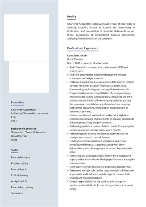 9985 Audit Coordinator Srisattva Group