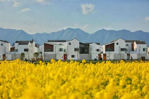富阳：绘一幅文韵十足的富 村”山居图