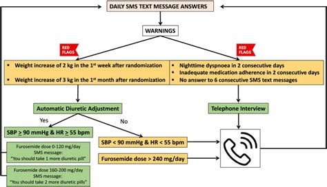 Algorithm Of Red Flags During The Message‐hf Trial Protocol And The
