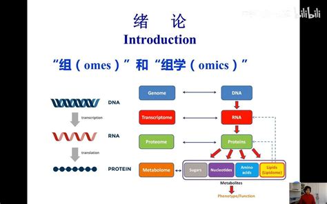 组学概述 哔哩哔哩