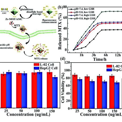 A The Zr Mofamcmtx Nanocarrier And B Its Mtx Release Cell
